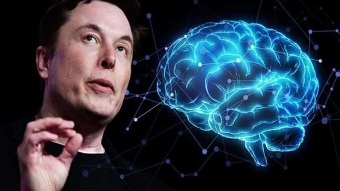 Elon Musk Lanzará Su Propia Empresa De Inteligencia Artificial (IA) | CoinGape